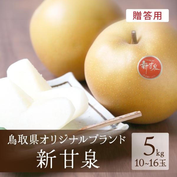 ■商品説明太陽の光をたっぷりと浴びた鳥取県オリジナルブランド梨の新甘泉です。平成20年に品種登録した「新甘泉」は、「おさ二十世紀」と、「筑水」とを掛け合わせて生まれた赤梨です。酸味が少なく、芳醇な甘味、みずみずしいシャリシャリ食感が特長で、...
