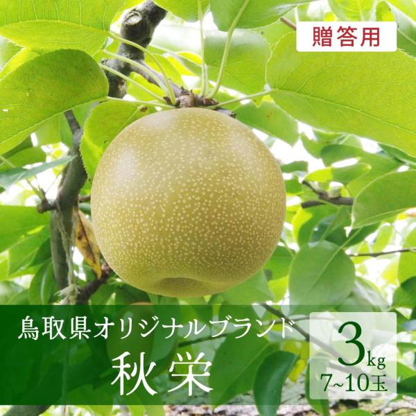 ■商品説明太陽の光をたっぷりと浴びた鳥取県オリジナルブランド梨の秋栄です。アザや変形も含みますが、食味は贈答用と変わりません。ご家庭用に最適です。秋栄（あきばえ）は鳥取大学において「おさ二十世紀」に「幸水」を交配し育成された品種で、1997...
