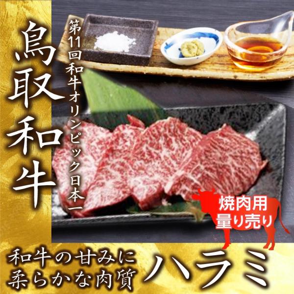 鳥取和牛ハラミです。横隔膜の筋肉です。和牛の甘みとハラミのやわらかさ。ヒレに匹敵する極上の味わいです。■ご注文方法100g単位でご注文頂けます。数量１が100gになりますので、300gご注文の場合は数量に「３」とご記入ください。原材料：鳥取...