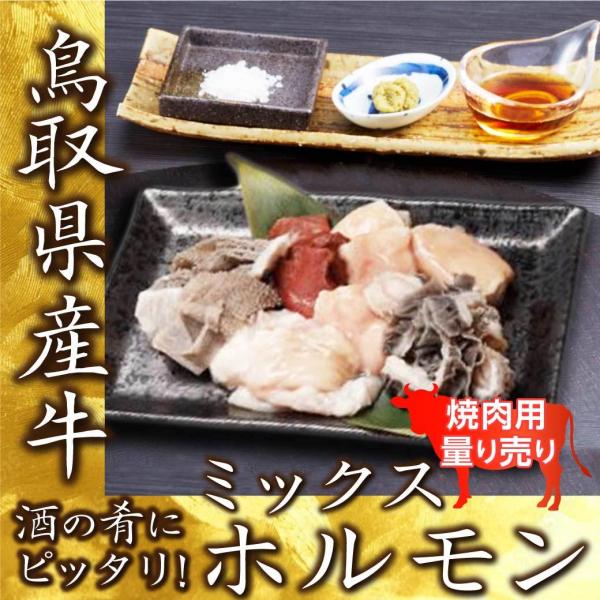 鳥取牛ミックスホルモンです。ホルモンのさまざまな部位をミックス！いろいろ食べたい方にオススメです。■ご注文方法300g単位でご注文頂けます。数量１が300gになりますので、900gご注文の場合は数量に「３」とご記入ください。原材料：鳥取県産...