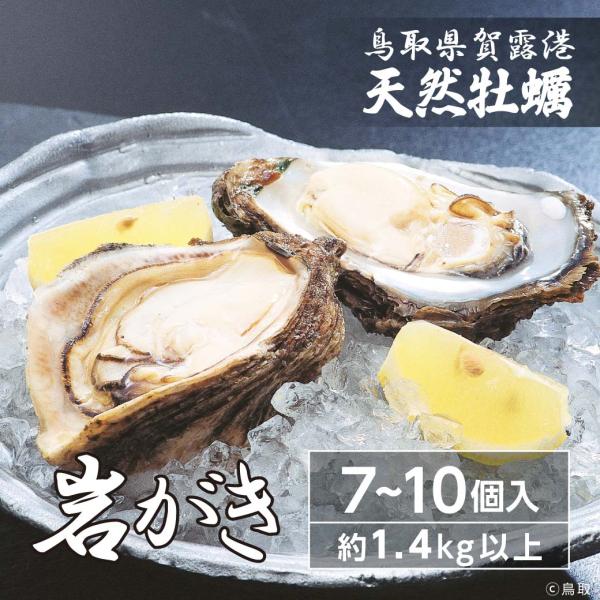 ■商品説明 鳥取産の岩がきは夏が旬の天然がきです。大きくてプリッとした身はミルクも多く、味も濃厚です。生のままレモンを搾って食べるのが一番ですが、焼いても煮ても大粒の岩ガキは縮むことが少なく、贅沢に食べられます。岩がきのお届け方法は2種類！...