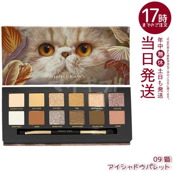 ＜猫＞「ブラウンアイシャドウ」12色アイシャドウパレット。王道のブラウン系で初心者にも使いやすい！ブラウン・チョコレート系の12色の濃淡で、ナチュラルグラデーションがおすすめ。自然な立体感のある目元メイクを楽しめます。