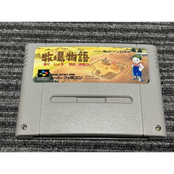 起動確認問題ありません。できる限り清掃してあります。状態は写真をよくご覧になってください。掲載写真にあるものがすべてです。バックアップ電池の保証はできません。
