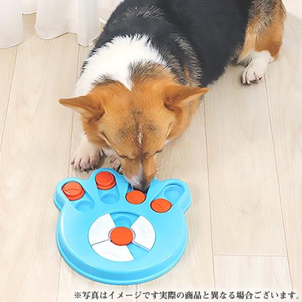 M-PETS BRAINY GAMES ダーウィン