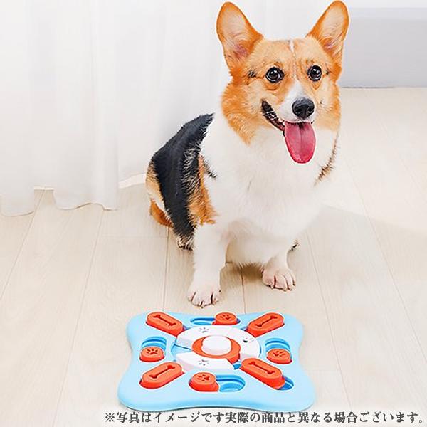 M-PETS BRAINY GAMES コペルニクス