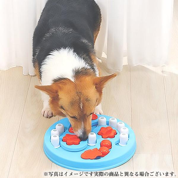 M-PETS BRAINY GAMES アインシュタイン