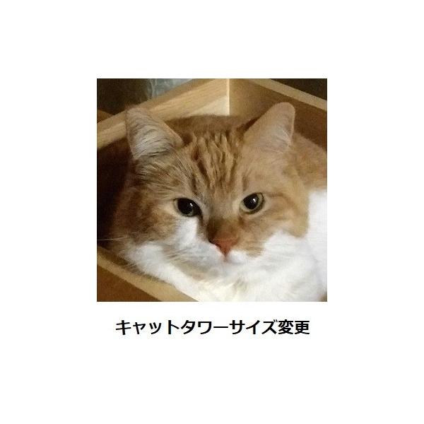 【発売日：2019年10月16日】通常サイズを10ｃｍ〜50ｃｍ（３辺計）まで大きくした場合。追加送料も含みます。