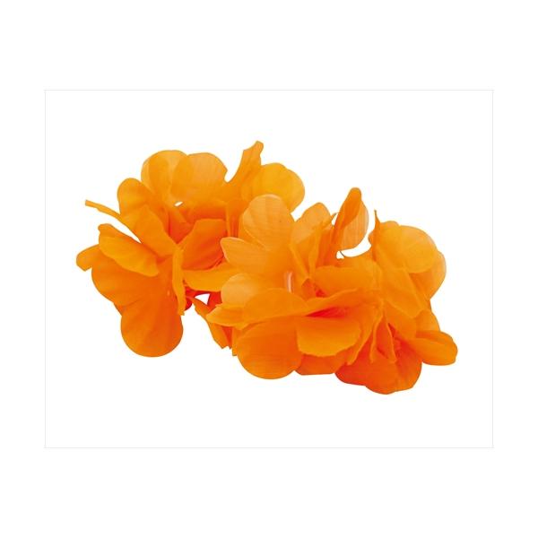 「教材・教育」ジャンルのものは、商品によっては、袋や箱などで包装されていなかったり、商品タグの無い状態で入荷するものがございます。その際は、当店で用意した個包装の袋などに入れて発送させて頂きます。また、サイズの大きい商品など袋に入らないもの...