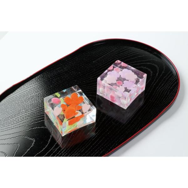 不透明粘土と透明レジンで涼しげな水菓子風フェイクスイーツが作れるキット！不透明粘土、２液性レジン、シリコンモールドが入ったオールインワンキットです。錦玉羹や水無月羹風の涼しげなフェイクスイーツを作ることができます。※注意：開封後は冷暗所に保...