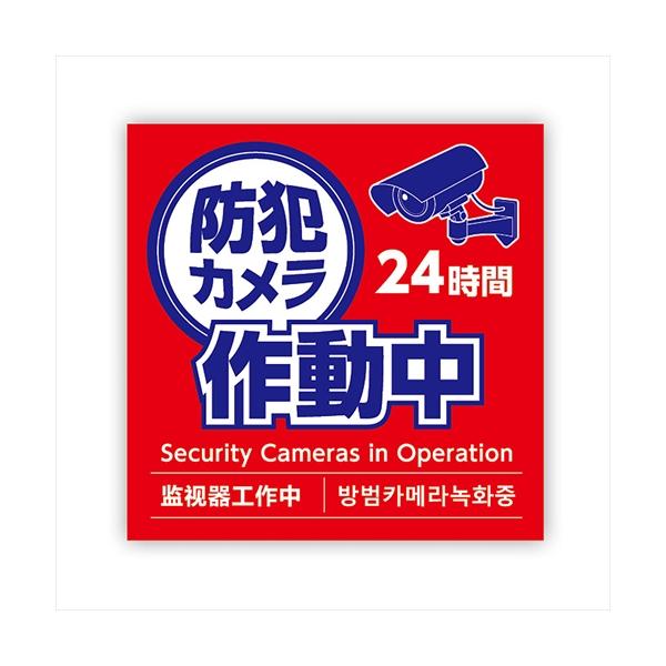 「教材・教育」ジャンルのものは、商品によっては、袋や箱などで包装されていなかったり、商品タグの無い状態で入荷するものがございます。その際は、当店で用意した個包装の袋などに入れて発送させて頂きます。また、サイズの大きい商品など袋に入らないもの...