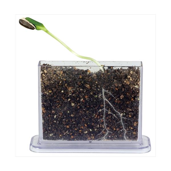 「教材・教育」ジャンルのものは、商品によっては、袋や箱などで包装されていなかったり、商品タグの無い状態で入荷するものがございます。その際は、当店で用意した個包装の袋などに入れて発送させて頂きます。また、サイズの大きい商品など袋に入らないもの...