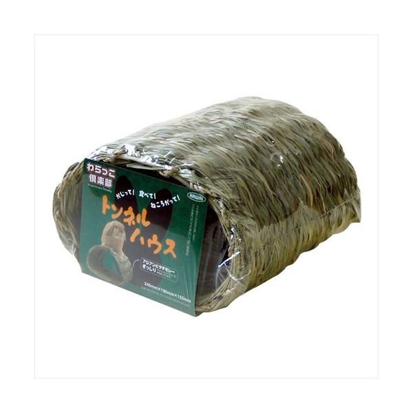 定番のトンネル型のデザインです。中で横になったり、上に登ったりして遊べます。