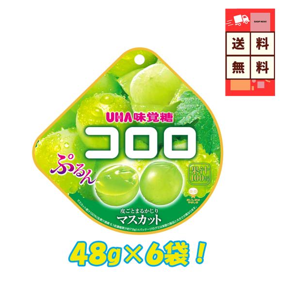 UHA味覚糖 コロロ シャインマスカット グミ ４８g　６袋まるでフルーツそのもの！「味覚糖 コロロ シャインマスカット」48g × 6袋セット♪ジューシーなシャインマスカットの甘みがギュッと詰まったグミ♪ ひとくち食べると、果汁感たっぷり...