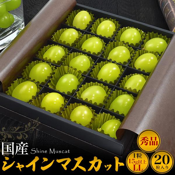 【発売日：2024年10月21日】ギフト 贈答用 国産シャインマスカット20粒入りギフトボックスセット　LLサイズ（1粒：15g以上 秀品の国産シャインマスカットをギフトボックスに詰めました。シャインマスカットの名産地である岡山県・長野県・...