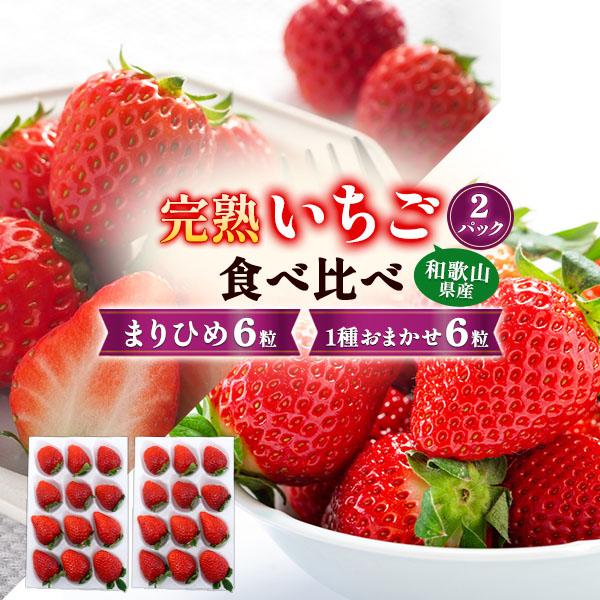 贈答用 和歌山県産 まりひめ+おまかせ品種完熟いちご食べ比べ 12粒×2パック フルーツギフト 贈り物  和歌山県産完熟いちごの食べ比べができる、まりひめ食べ比べセット！和歌山県産「まりひめ」6粒と、紀の香・紅ほっぺなど「おまかせ品種」6粒...