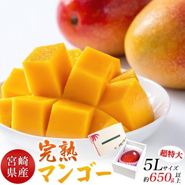贈答用　宮崎県産 マンゴー 5Lサイズ（約650g以上）  宮崎県産完熟マンゴー 5Lサイズの大玉1玉をお届けします。約650g以上の贅沢な大きさで、大切な方へのギフトや贈答用におすすめです。こちらの宮崎マンゴーは樹上完熟にこだわり、果実が...