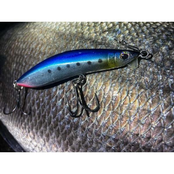 クラフツマンルアーズさんは三重発のご当地メーカーです。少量生産のマニアックなルアーメーカーさんですが写真のとおり実績は充分！　テストは伊良湖方面を中心にしました。各地のロコアングラーのみなさまもぜひ使ってみてください。【Rudder Hea...