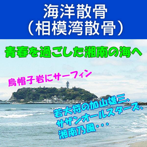 ■サービス内容・散骨をされたいお骨を弊社指定の散骨（取引）先さんへ送骨し、散骨をするサービスです。※指定の散骨（取引）先さんについては、下部へ記載しております。・粉骨込みのサービスとなっております。・表記金額以外には、追加費用が発生すること...