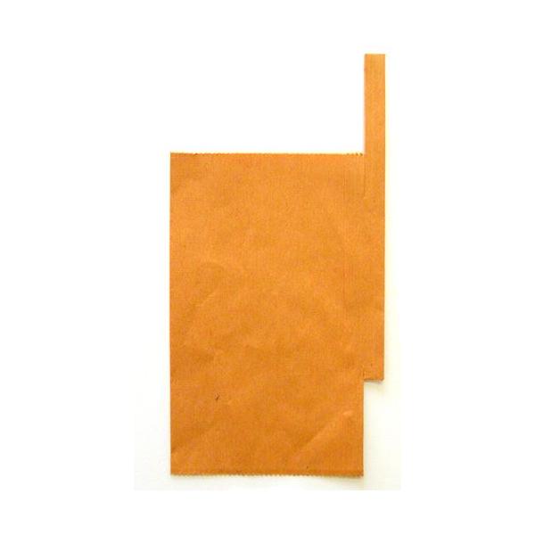 ・田中の育成に最適なビワ用果実袋です。・葉や枝、他の果実とのこすれによる傷つきを防ぎます。・虫害、鳥害などから果実を守ります。・病原菌などの進入を防ぎます。・陽光の透過度を調整することで、びわの肌が美しく仕上がります。商品名：びわ用果実掛袋...