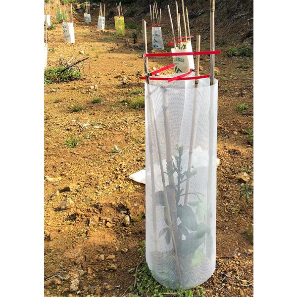 苗木をぐるっと囲って鹿から守る。苗木の食害対策に軽くてらくらく持ち運び。設置も簡単鹿よけくるりん　ホワイトの特徴・鹿よけくるりんは食害に強い厚手ポリエチレン製のネットです。・たくさんの穴があり、光を通して苗木の成長を妨げません。・粘り強いポ...