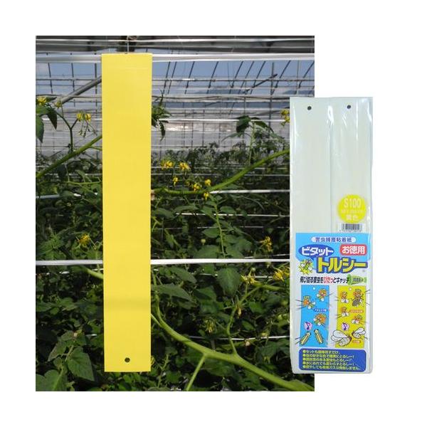・鮮やかな黄色で害虫を引きつけ捕獲する、両面粘着式の捕虫紙です。・薬剤を使わないので抵抗性のある虫に効果があり、減農薬栽培にも有効です。・剥離紙タイプのため、粘着板製品に比べ手が汚れにくくなっています。・紙製品なので折り曲げ加工が簡単です。...