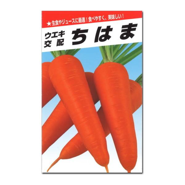 ★小袋種子の配送便と送料についてお願い小袋種子のみのご注文は、メール便にて全国一律180円で送付させて頂きます。ご注文時から概ね３日間ほどで出荷します。 代引き・着日時間指定は出来ませんので、予めご了承願います。--------------...