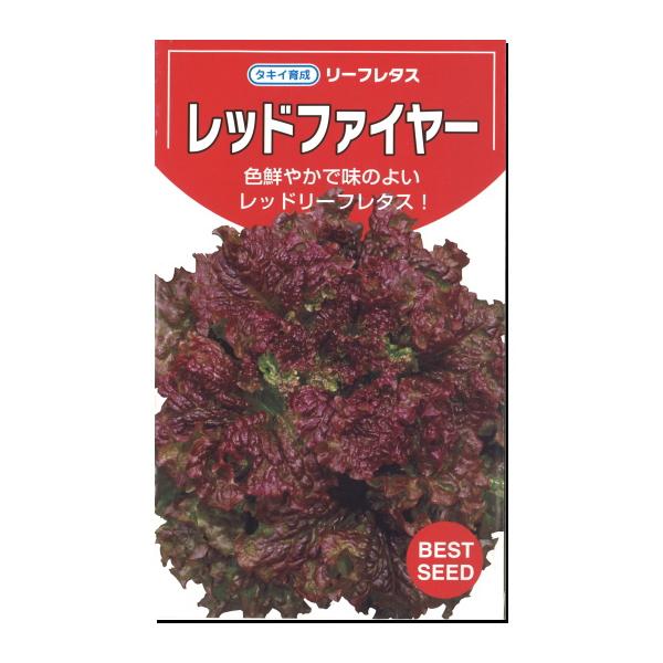 ★小袋種子の配送便と送料についてお願い小袋種子のみのご注文は、メール便にて全国一律200円で送付させて頂きます。ご注文時から概ね３日間ほどで出荷します。 代引き・着日時間指定は出来ませんので、予めご了承願います。