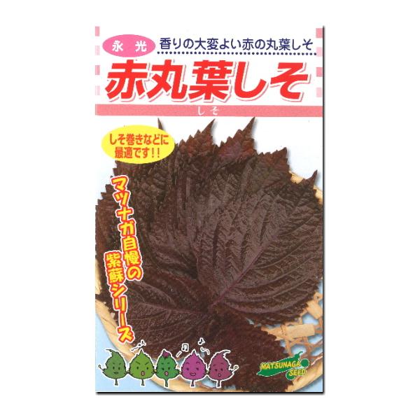 ★小袋種子の配送便と送料についてお願い小袋種子のみのご注文は、メール便にて全国一律180円で送付させて頂きます。ご注文時から概ね３日間ほどで出荷します。 代引き・着日時間指定は出来ませんので、予めご了承願います。