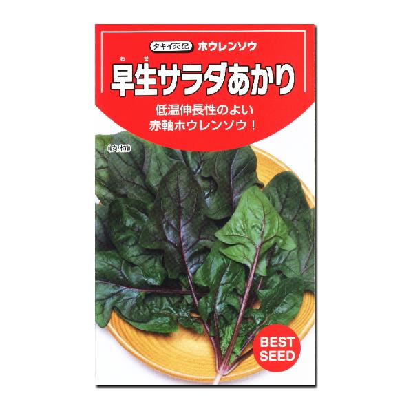 ★小袋種子の配送便と送料についてお願い小袋種子のみのご注文は、メール便にて全国一律180円で送付させて頂きます。ご注文時から概ね３日間ほどで出荷します。 代引き・着日時間指定は出来ませんので、予めご了承願います。