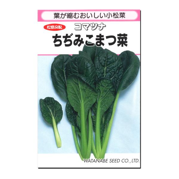 ★小袋種子の配送便と送料についてお願い小袋種子のみのご注文は、メール便にて全国一律195円で送付させて頂きます。ご注文時から概ね３日間ほどで出荷します。 代引き・着日時間指定は出来ませんので、予めご了承願います。