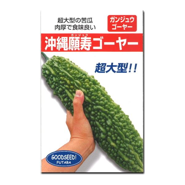 ★小袋種子の配送便と送料についてお願い小袋種子のみのご注文は、メール便にて全国一律195円で送付させて頂きます。ご注文時から概ね３日間ほどで出荷します。 代引き・着日時間指定は出来ませんので、予めご了承願います。