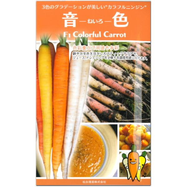 ★小袋種子の配送便と送料についてお願い小袋種子のみのご注文は、メール便にて全国一律180円で送付させて頂きます。ご注文時から概ね３日間ほどで出荷します。 代引き・着日時間指定は出来ませんので、予めご了承願います。