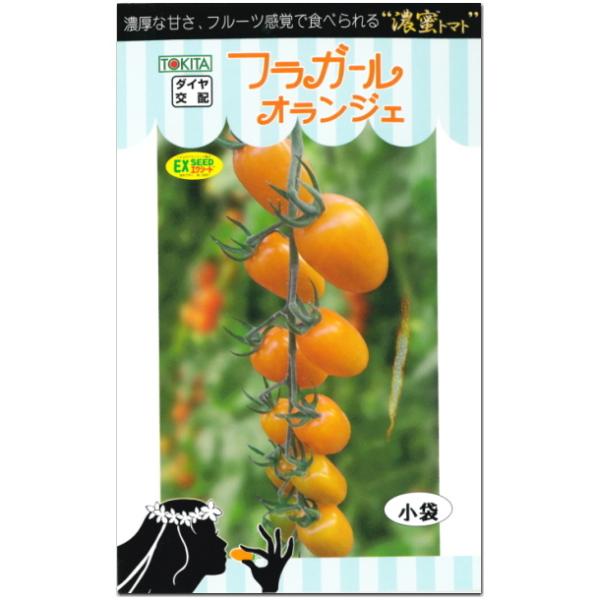 ★小袋種子の配送便と送料についてお願い小袋種子のみのご注文は、メール便にて全国一律195円で送付させて頂きます。ご注文時から概ね３日間ほどで出荷します。 代引き・着日時間指定は出来ませんので、予めご了承願います。