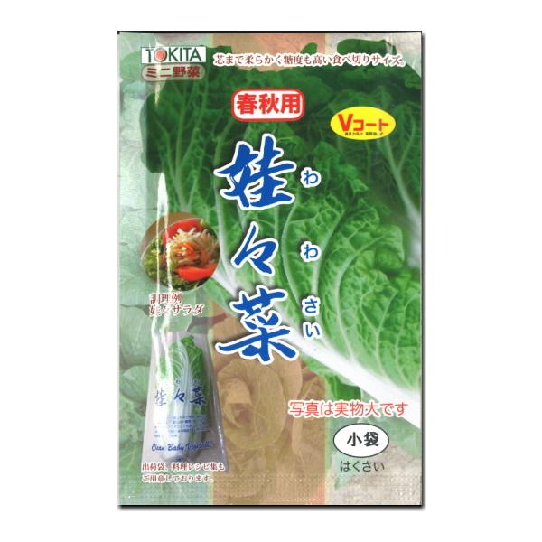 ★小袋種子の配送便と送料についてお願い小袋種子のみのご注文は、メール便にて全国一律180円で送付させて頂きます。ご注文時から概ね３日間ほどで出荷します。 代引き・着日時間指定は出来ませんので、予めご了承願います。