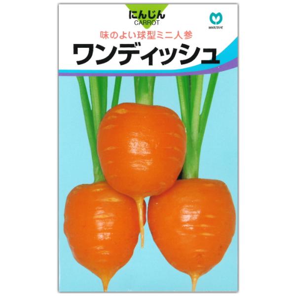 人参【 ワンディッシュ 】 種子　---------------------------味の良い　丸型ミニ人参♪根部は直径4cm前後、芯まで鮮やかな橙紅色の球型ミニ人参です。肉質は柔らかく、甘味があり食味良好。葉数が少ないため首がよくしまっ...