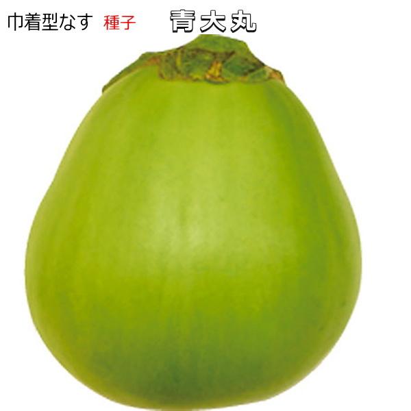 ★小袋種子の配送便と送料についてお願い小袋種子のみのご注文は、メール便にて全国一律180円で送付させて頂きます。ご注文時から概ね３日間ほどで出荷します。 代引き・着日時間指定は出来ませんので、予めご了承願います。