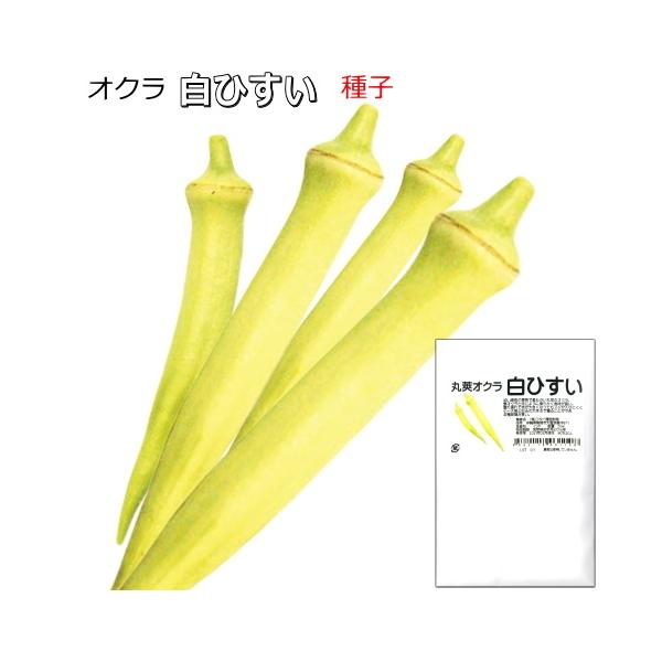 ★小袋種子の配送便と送料についてお願い小袋種子のみのご注文は、メール便にて全国一律195円で送付させて頂きます。ご注文時から概ね３日間ほどで出荷します。 代引き・着日時間指定は出来ませんので、予めご了承願います。