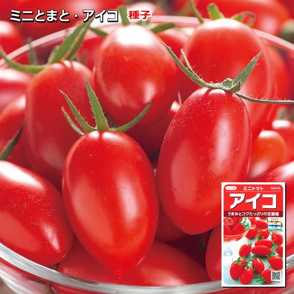 ★小袋種子の配送便と送料についてお願い小袋種子のみのご注文は、メール便にて全国一律180円で送付させて頂きます。ご注文時から概ね３日間ほどで出荷します。 代引き・着日時間指定は出来ませんので、予めご了承願います。--------------...