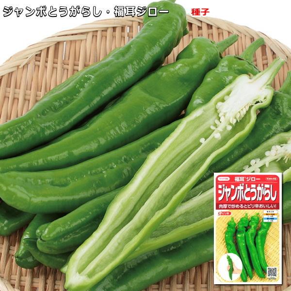 ★小袋種子の配送便と送料についてお願い小袋種子のみのご注文は、メール便にて全国一律180円で送付させて頂きます。ご注文時から概ね３日間ほどで出荷します。 代引き・着日時間指定は出来ませんので、予めご了承願います。--------------...