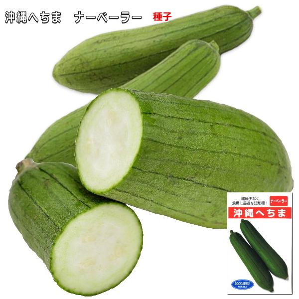 ★小袋種子の配送便と送料についてお願い小袋種子のみのご注文は、メール便にて全国一律200円で送付させて頂きます。ご注文時から概ね３日間ほどで出荷します。 代引き・着日時間指定は出来ませんので、予めご了承願います。--------------...