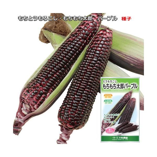 ★小袋種子の配送便と送料についてお願い小袋種子のみのご注文は、メール便にて全国一律180円で送付させて頂きます。ご注文時から概ね３日間ほどで出荷します。 代引き・着日時間指定は出来ませんので、予めご了承願います。--------------...