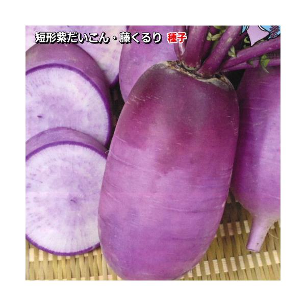 ★小袋種子の配送便と送料についてお願い小袋種子のみのご注文は、メール便にて全国一律180円で送付させて頂きます。ご注文時から概ね３日間ほどで出荷します。 代引き・着日時間指定は出来ませんので、予めご了承願います。--------------...