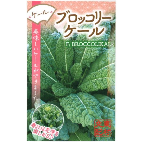 -------------------------春には花芽も食べられる、ブロッコリー系のケール「非結球あぶらな科葉菜類」新しい葉っぱがどんどん出てくるので、若い葉を摘んでお召し上がりください。春には花芽も美味しく食べられるので、長期間の収...