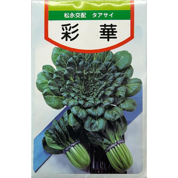 タアサイ【 彩華 】種子耐寒性にすぐれ、生育旺盛で栽培容易！！【 特徴 】・キサラギナに似た中国野菜。耐寒性が極めて強く、生育旺盛で栽培容易。・株は外葉が地を這うように順次重なり合って結球はしない。・丸型スプーン状の葉は濃緑でやわらかく、間...