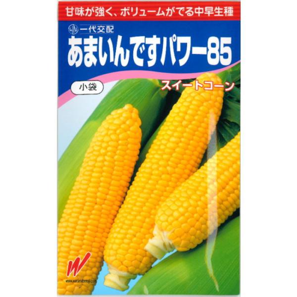 スイートコーン【 あまいんですパワー85 】 種子　---------------------------甘みが強く　食味に優れた中早生タイプ　イエロー種播種後85日程度で収穫期に達する、中早生タイプのイエロースイートコーン。・雌穂は苞葉の...