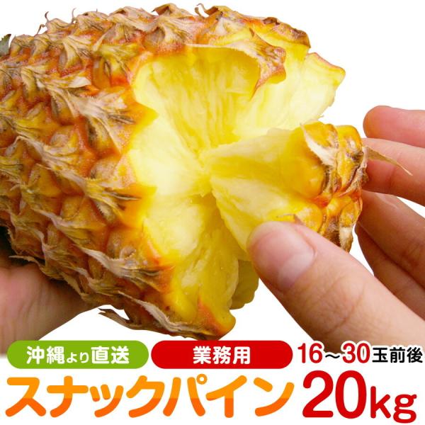 【内容量】約20kg前後（約15〜30個）収穫が天候などにされる為、重さ・個数に多少の違いがでる場合もございます。ご了承下さい。スナックパインは通常のパイナップルより一回り小さくなっております。ご理解の上、ご購入くださいませ。【消費期限】 ...