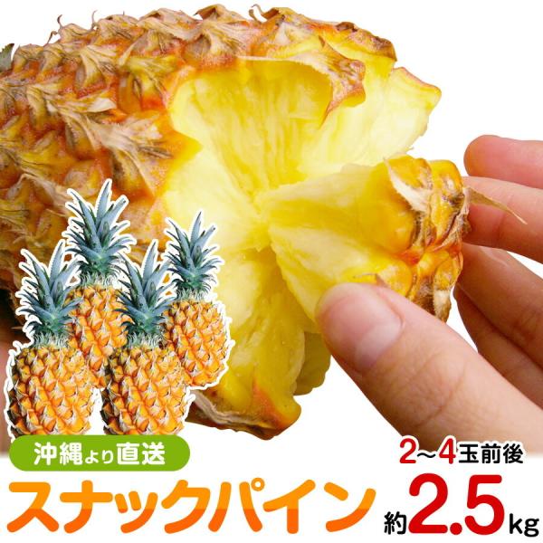 【内容量】約2.5kg前後（約2〜4個）収穫が天候などにされる為、重さ・個数に多少の違いがでる場合もございます。ご了承下さい。スナックパインは通常のパイナップルより一回り小さくなっております。ご理解の上、ご購入くださいませ。【消費期限】 常...