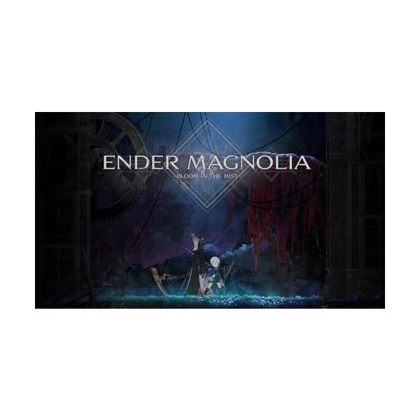 -/-/HAC-P-BG6CA・PlatformForDisplay:Switch/通常版Edition:限定無し・パッケージ個数:1・暴走する悲しき人工生命「ホムンクルス」によって滅びゆく終末世界を舞台にした探索型2DアクションRPG・多...