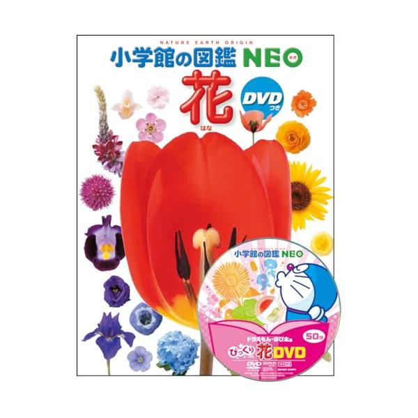 DVDつき植物図鑑「NEO花」登場!  新刊の『NEO花』は、日本で初めての、 分類順に掲載した児童向け本格植物図鑑です。  現在の児童向け植物図鑑は、春夏秋冬の季節ごとや、生育環境別での掲載順が主流ですが、本書は最新DNA分類(APG分類...