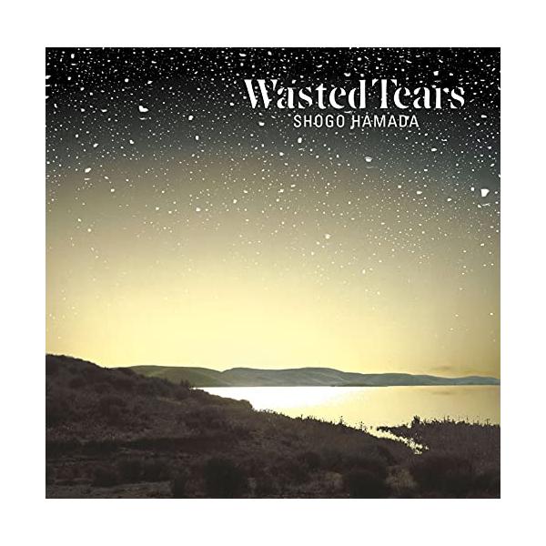 内容紹介  SHOGO HAMADA 45th Anniversary リプライス商品。 1989年発売のセルフカバー・バラードコレクション。 《収録内容》 01: LONELY − 愛という約束事 02: SILENCE 03: BREA...